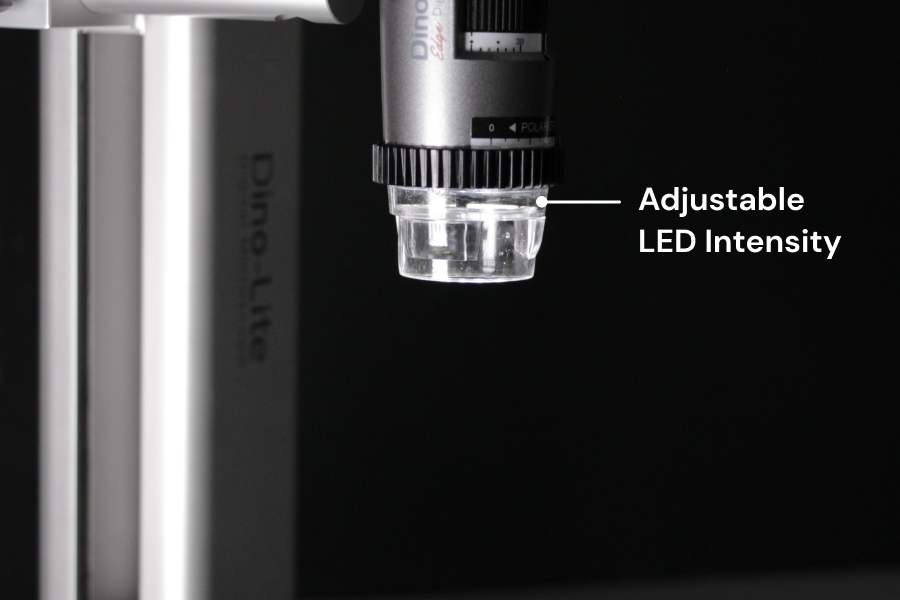 Digital Microscope USB Dino-Lite AF3113T - Dino-Lite Singapore