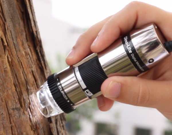 Dino-Lite Digital Microscope - Dino-Lite Singapore