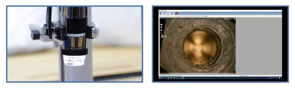 Beginner's Guide to Using Your Dino-Lite Digital Microscope - Dino-Lite ...