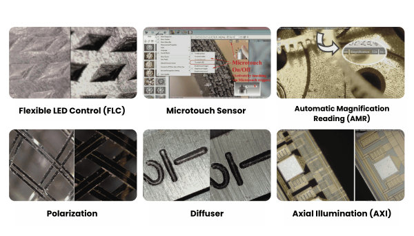 The Digital Microscope: A Modern Tool for Exploration - Dino-Lite Singapore