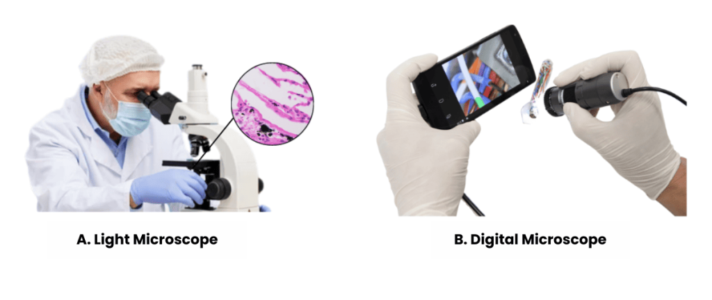 The Digital Microscope: A Modern Tool for Exploration - Dino-Lite Singapore